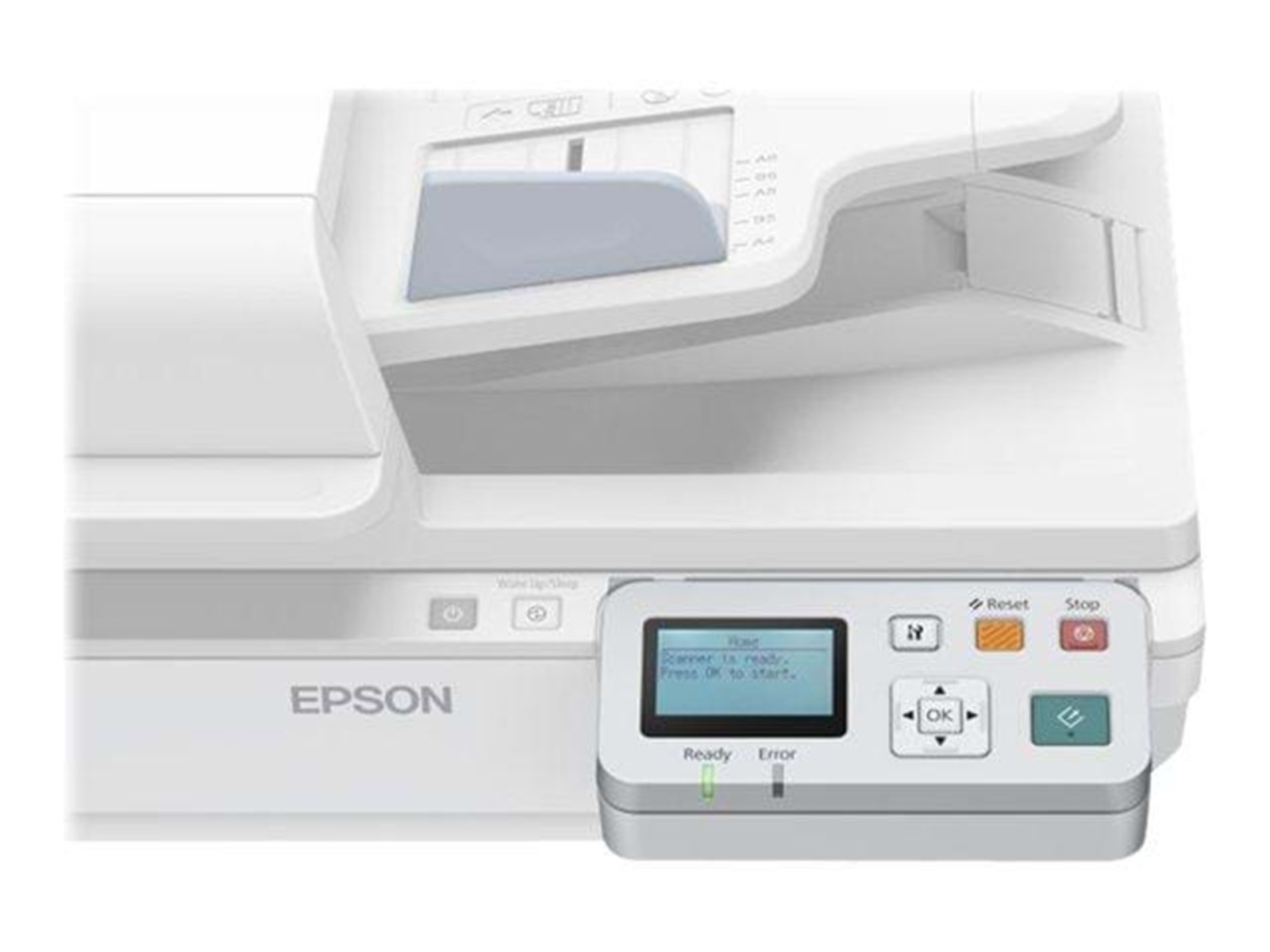 Epson Network Scan Module | Billig