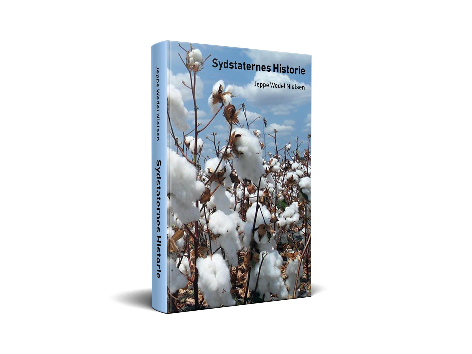 Sydstaternes historie - Historie & Samfund - hardback | Billig