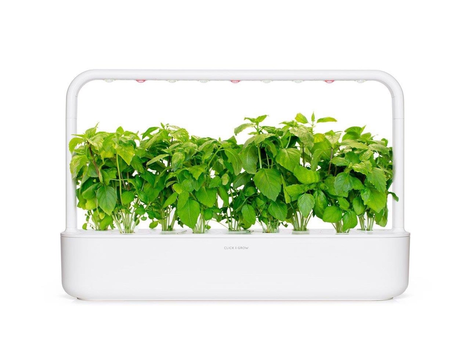 Click & Grow Click and Grow Smart Garden Refill 3-pack - Cinnamon Basil