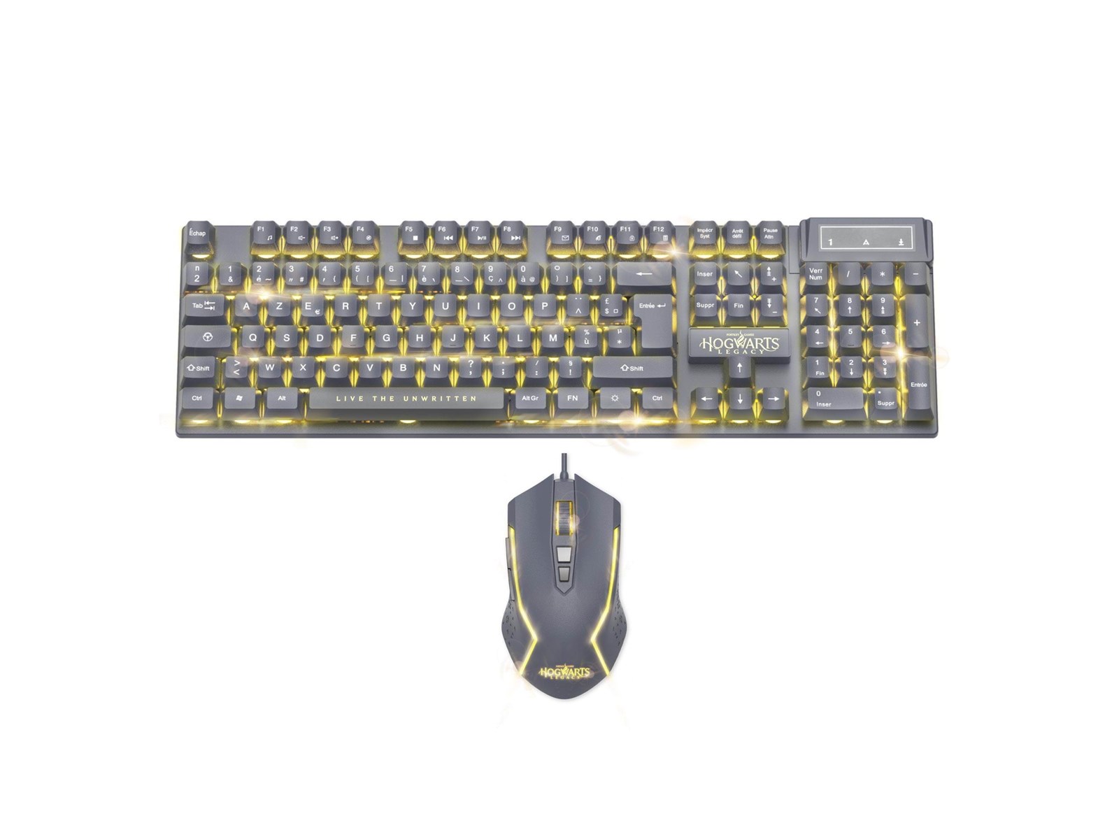 Freaks And Geeks Hogwarts Legacy - Gaming Keyboard and Mouse Bundle ...