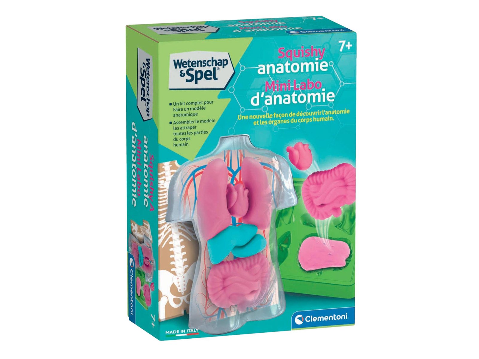 Clementoni Science & Play - Squishy Anatomy | Billig
