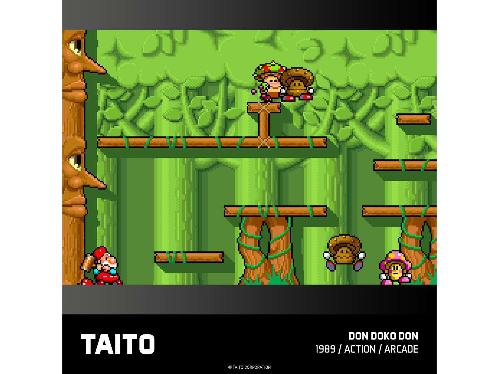 Taito Arcade 1 - Evercade - Retro | Billig