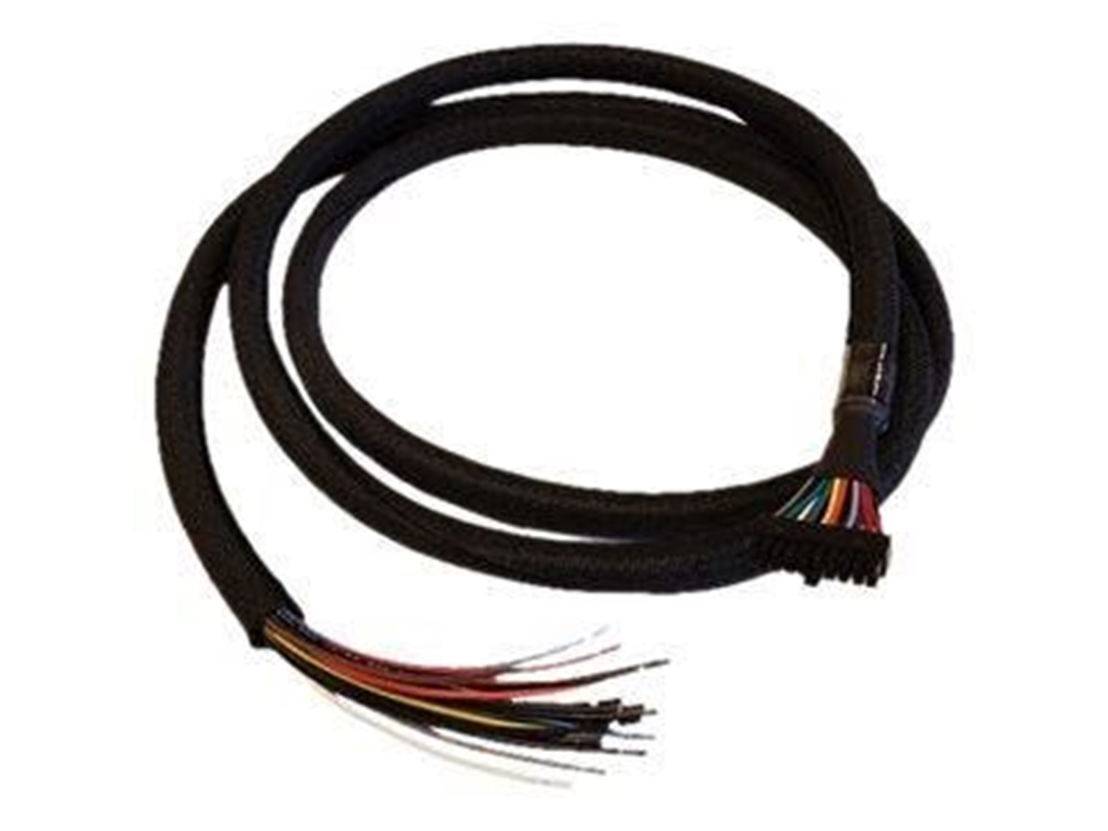 CradlePoint - GPIO cable - 20 pin dual row Molex to bare wire - 1.98 m