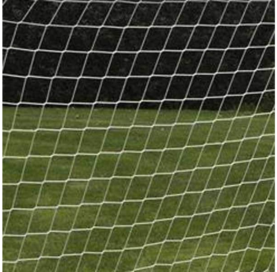 Europlay My Hood - Net for Homegoal Senior (200 x 160 cm) | Billig