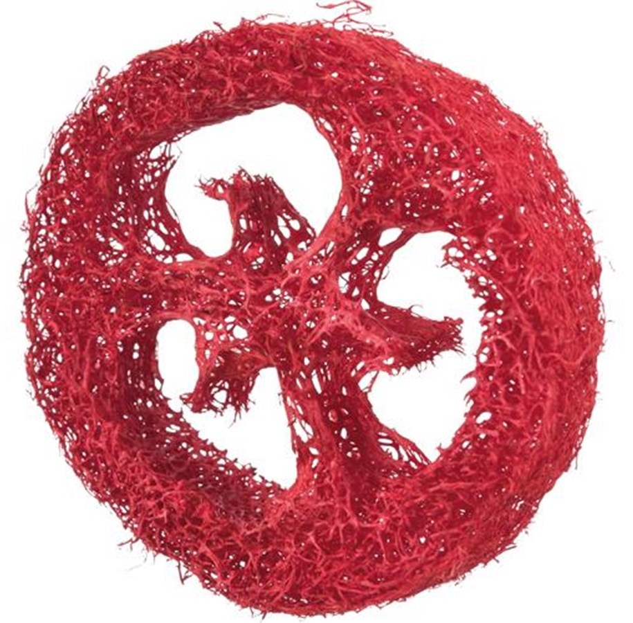 Trixie Set of Loofah Toys ø 6 cm 2 pcs assorted colours | Billig